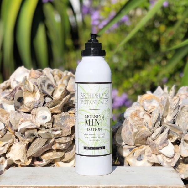 Archipelago Morning Mint Body Lotion – Tabula Rasa Essentials